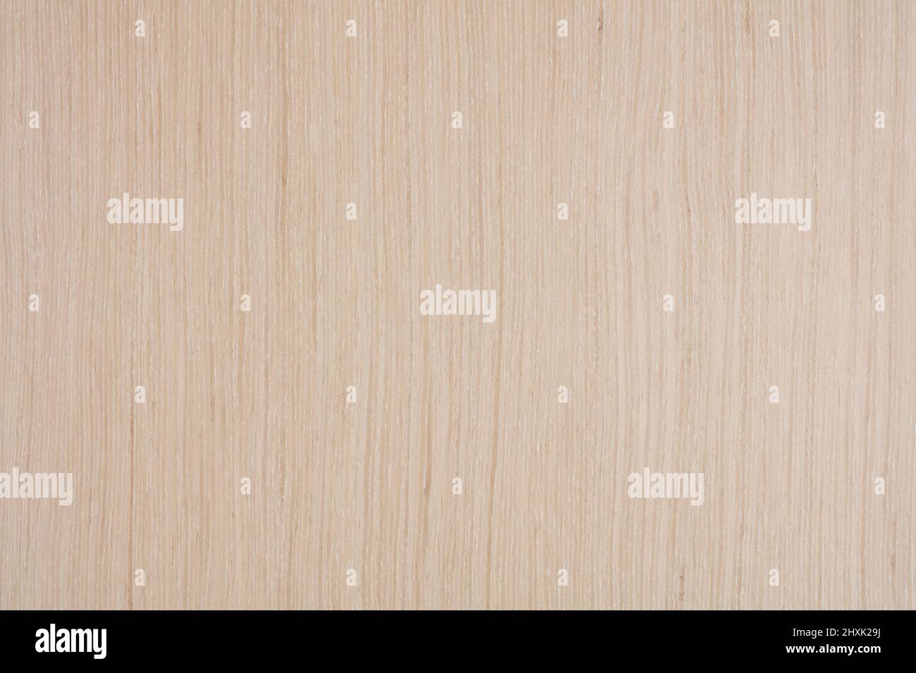 Bleached Grey Oak veneer background, texture in light color for ...