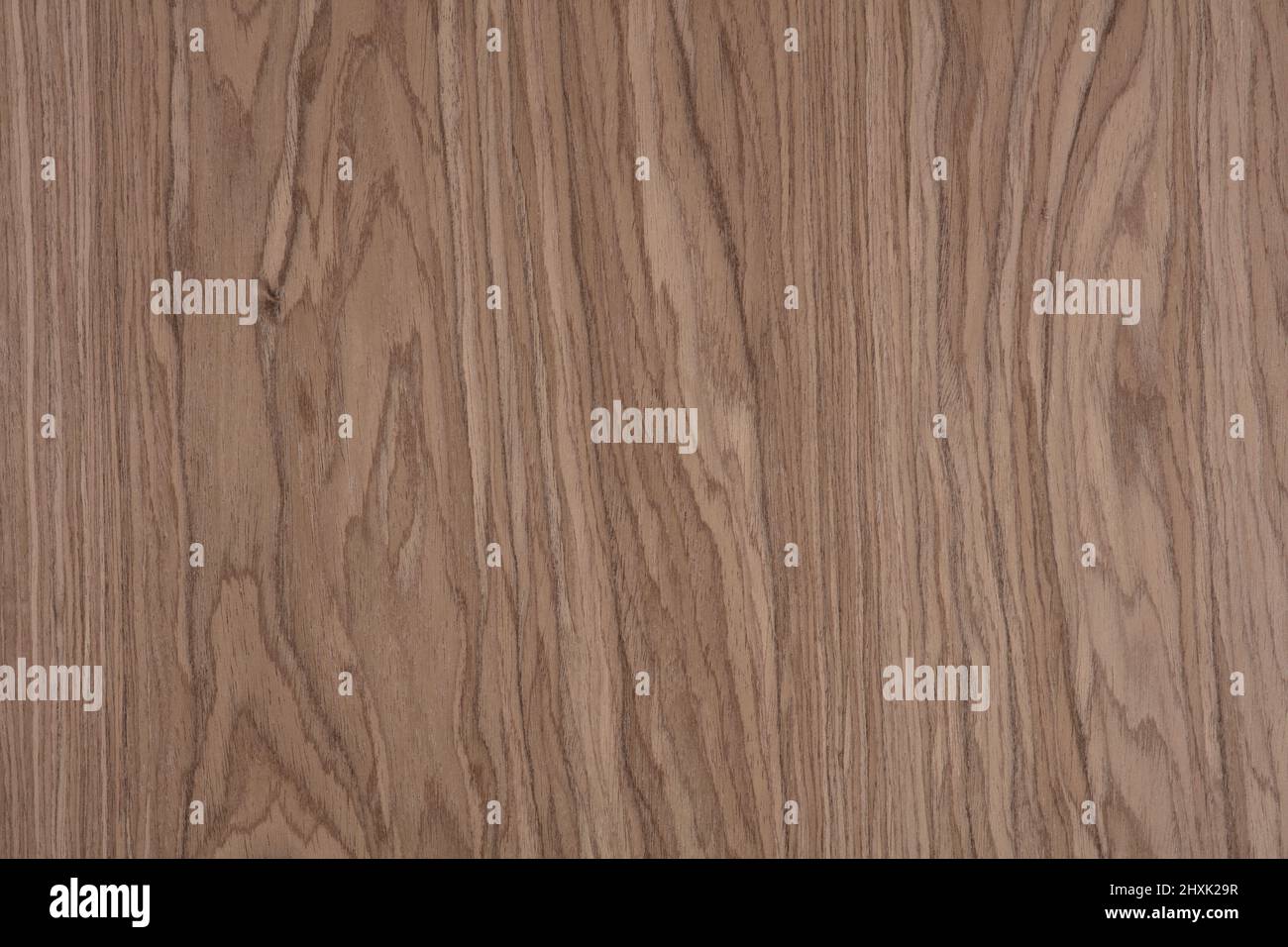 Noble Walnut veneer texture, background in grey color for new office ...