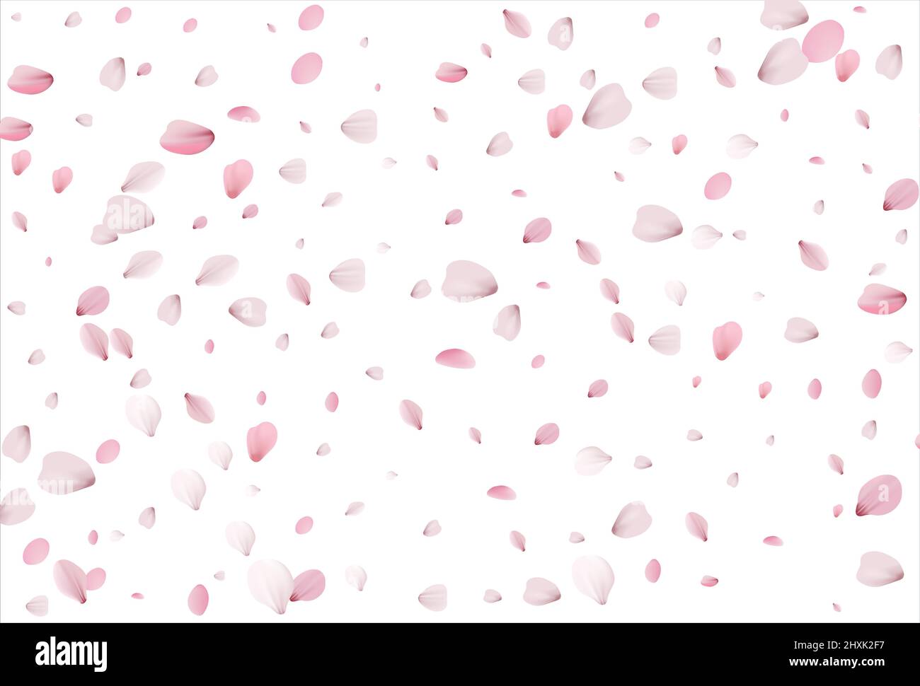 Sakura petals background. Cherry petals vector Stock Vector Image & Art ...