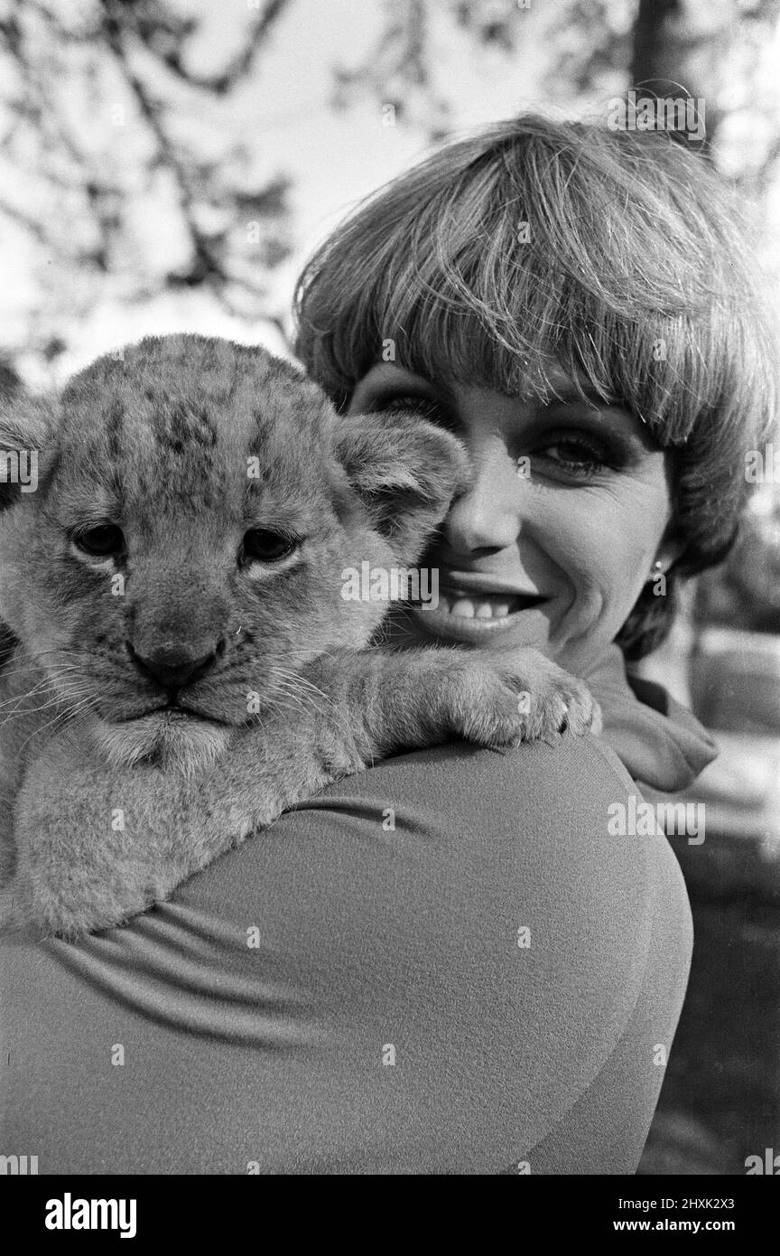 Stars of the new TV series "The Avengers", Joanna Lumley with Sheba the ...