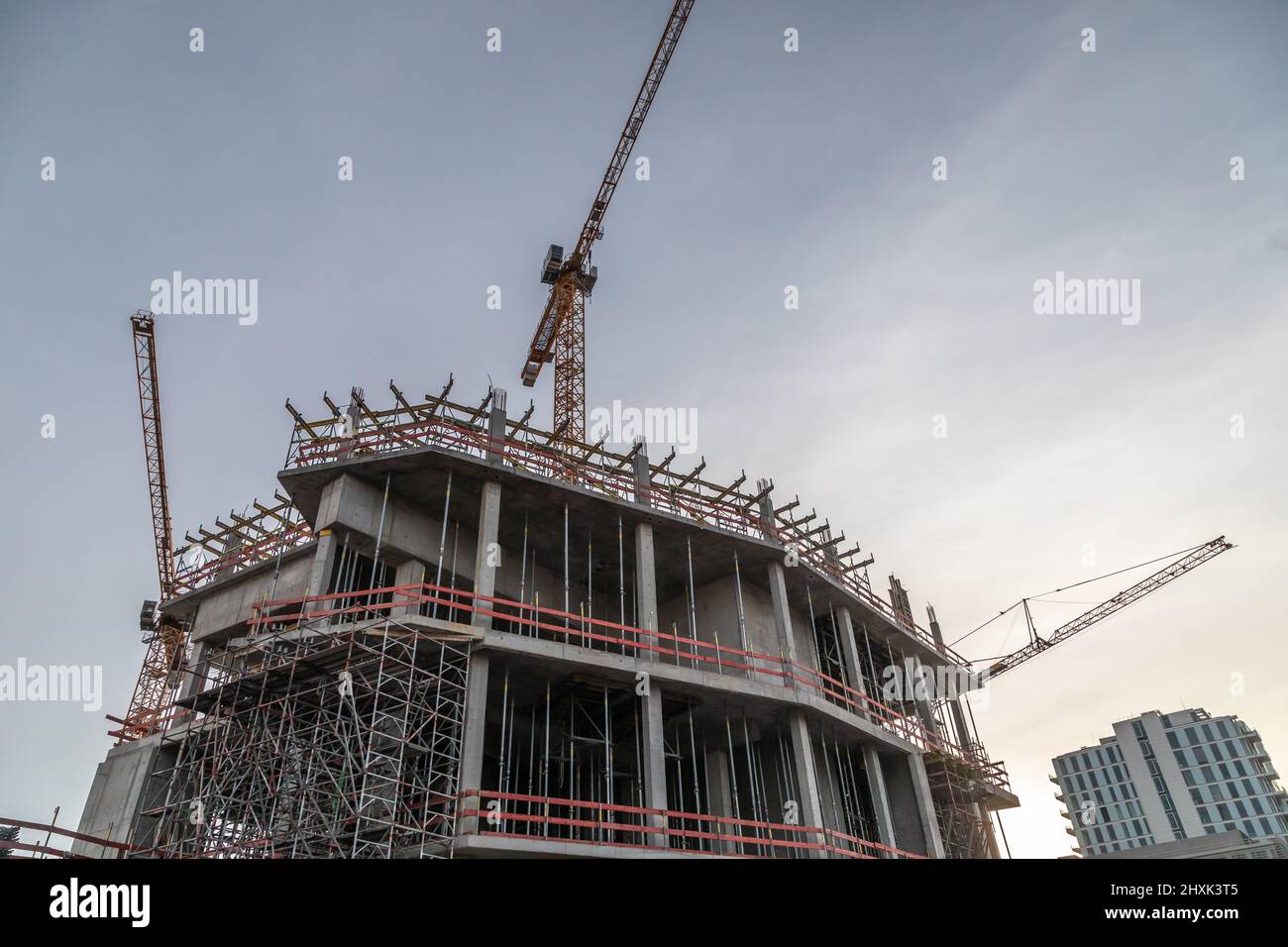 cranes above a shell made of reinforced concrete Stock Photo - Alamy