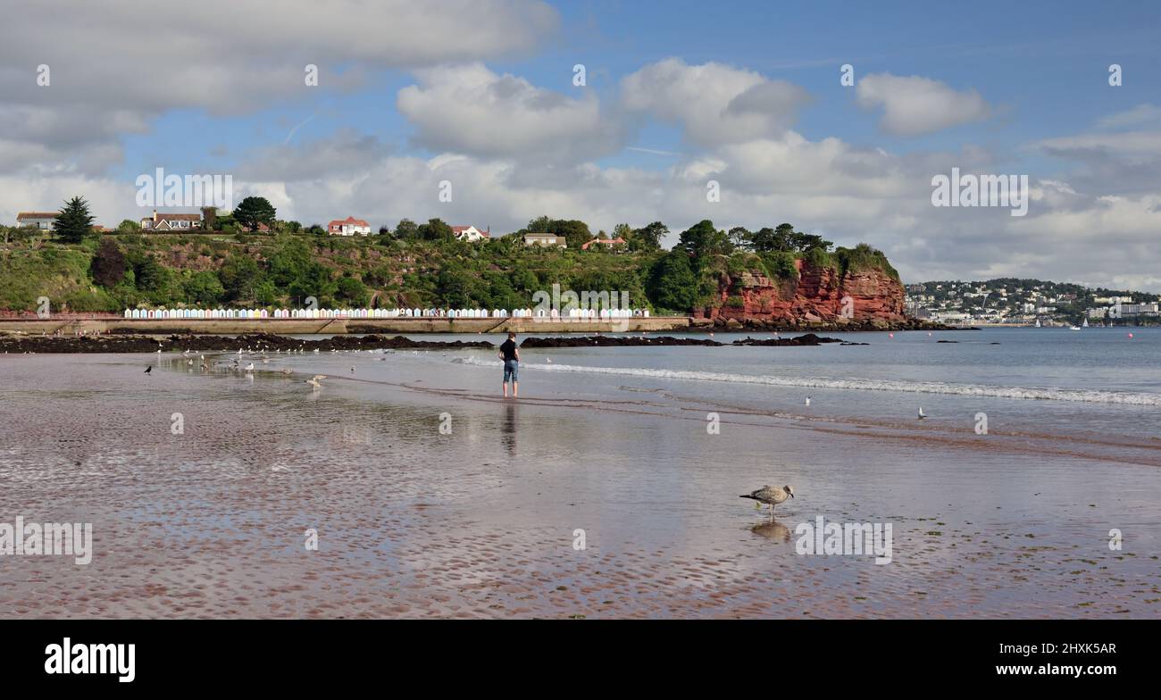 People on the beach at Goodrington Sands, and beach huts below Roundham ...