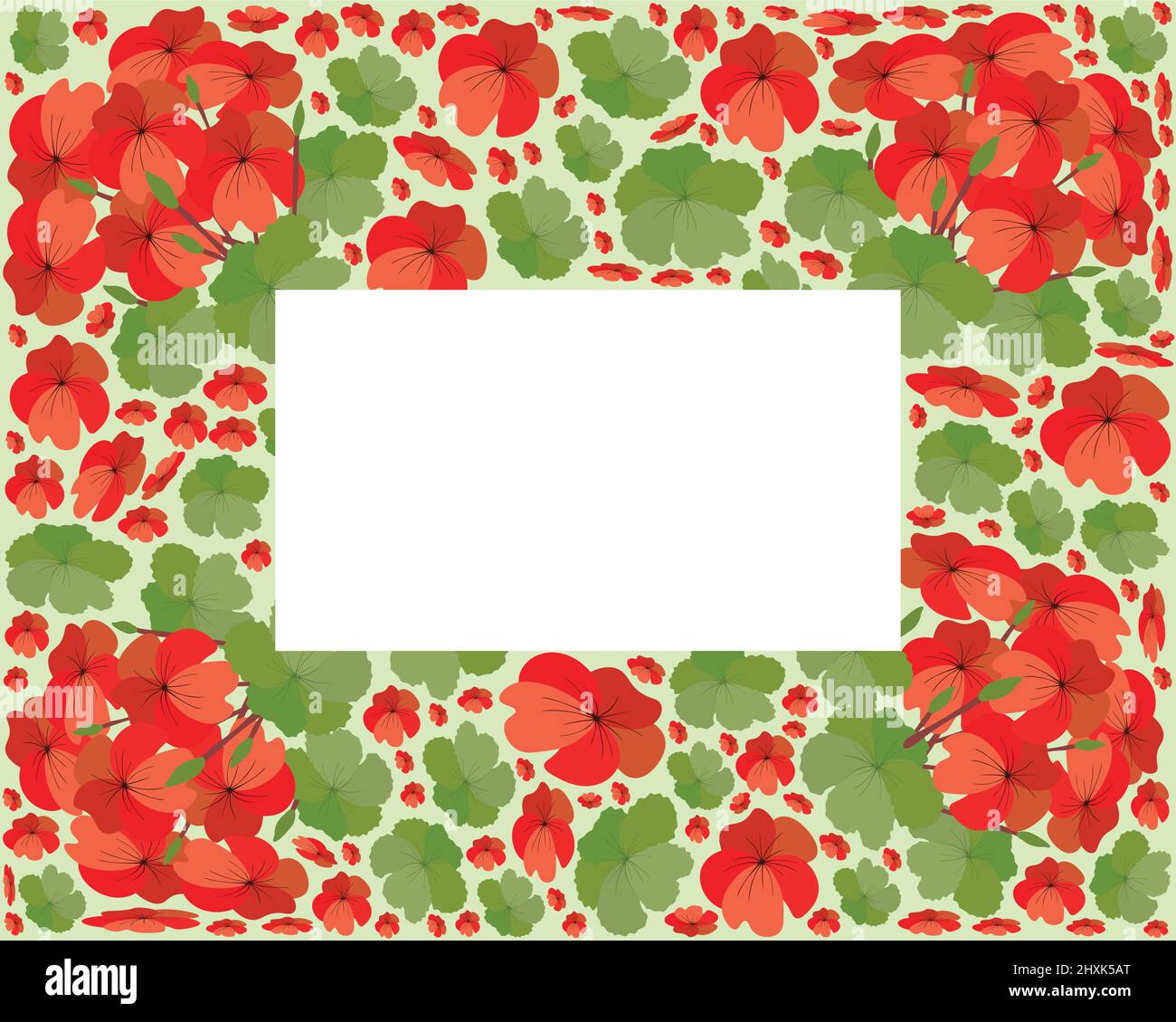 Pelargonium and border Stock Vector Images - Alamy