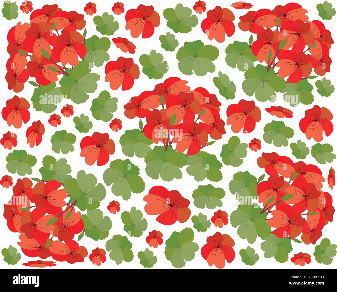 Beautiful Flower, Illustration Bunch of Beautiful Red Geranium Flowers ...