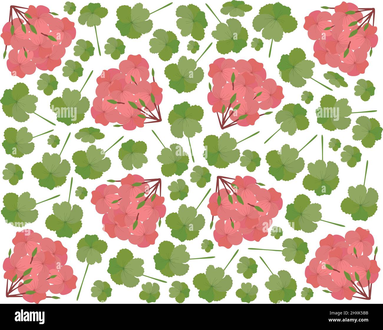 Beautiful Flower, Illustration Bunch of Beautiful Red Geranium Flowers ...