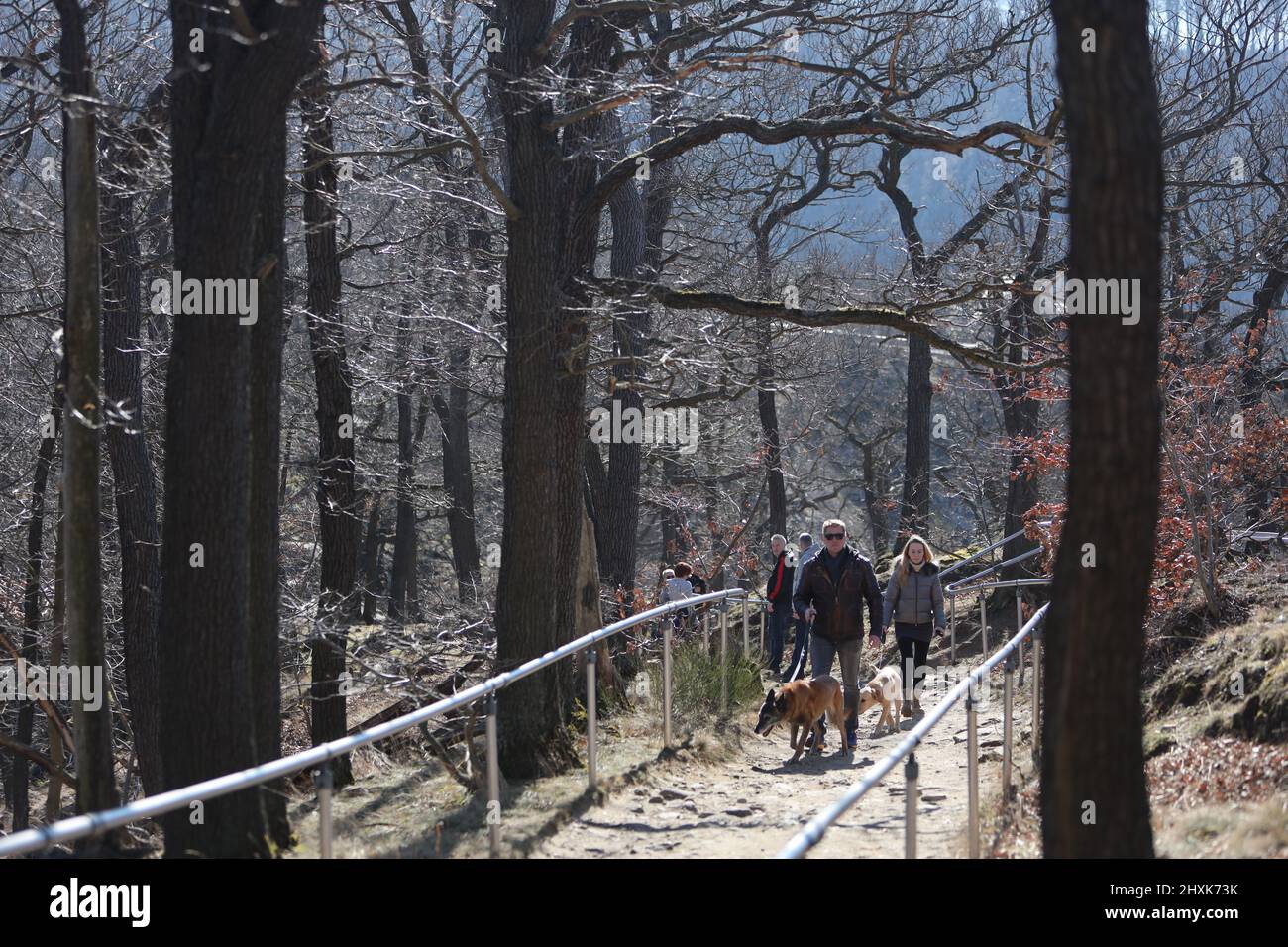 Thale, Germany. 13th Mar, 2022. Hikers are on the way to the Rosstrappe ...
