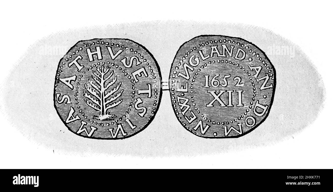 Tree illustrations hi-res stock photography and images - Alamy