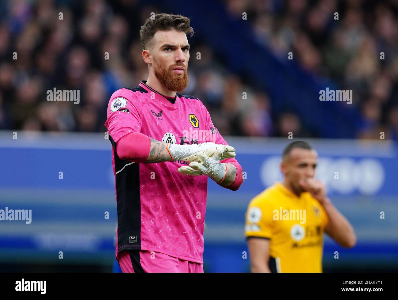 Jose sa wolves hi-res stock photography and images - Alamy