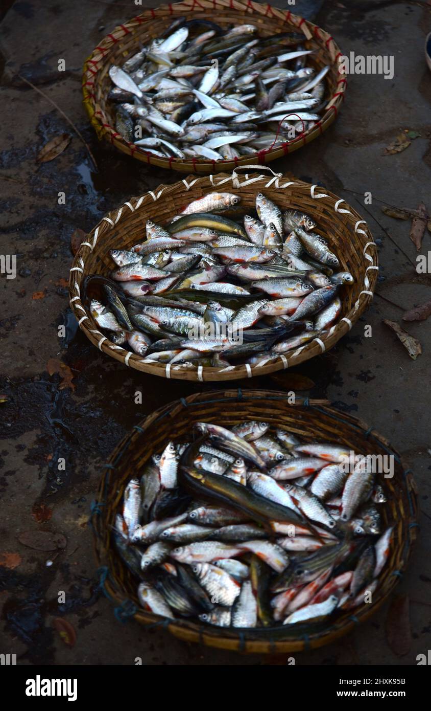 Guwahati, Guwahati, India. 12th Mar, 2022. Fishermen sell local small ...