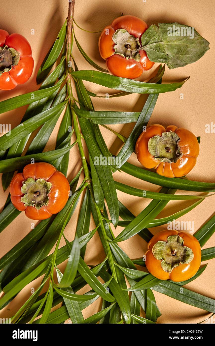 Closeup persimmons isolated on a white background. whole honey fruits ...