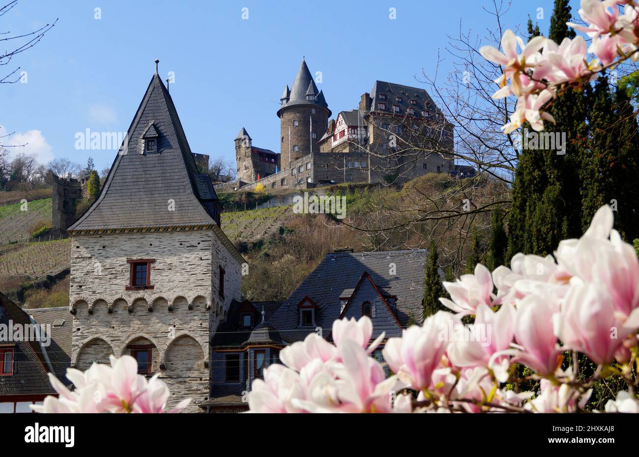 Stahleck Castle in the town of Bacharach on Rhein or Rhine in Germany ...