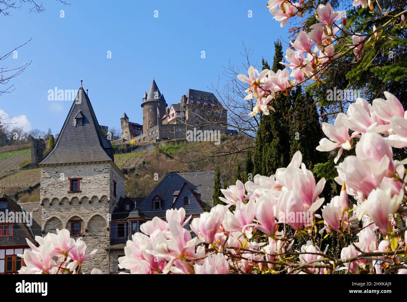 Stahleck Castle in the town of Bacharach on Rhein or Rhine in Germany ...