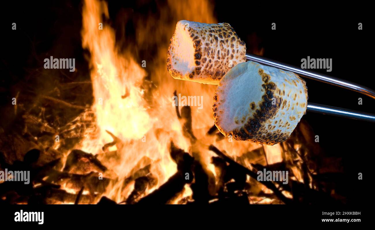 Two marshmallows being roasted over a campfire to make smores Stock ...