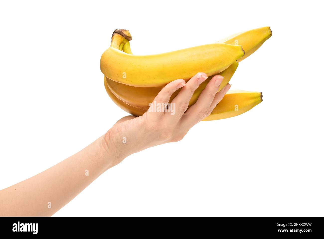 A bunch of bananas in woman hand isolated on a white background Stock ...