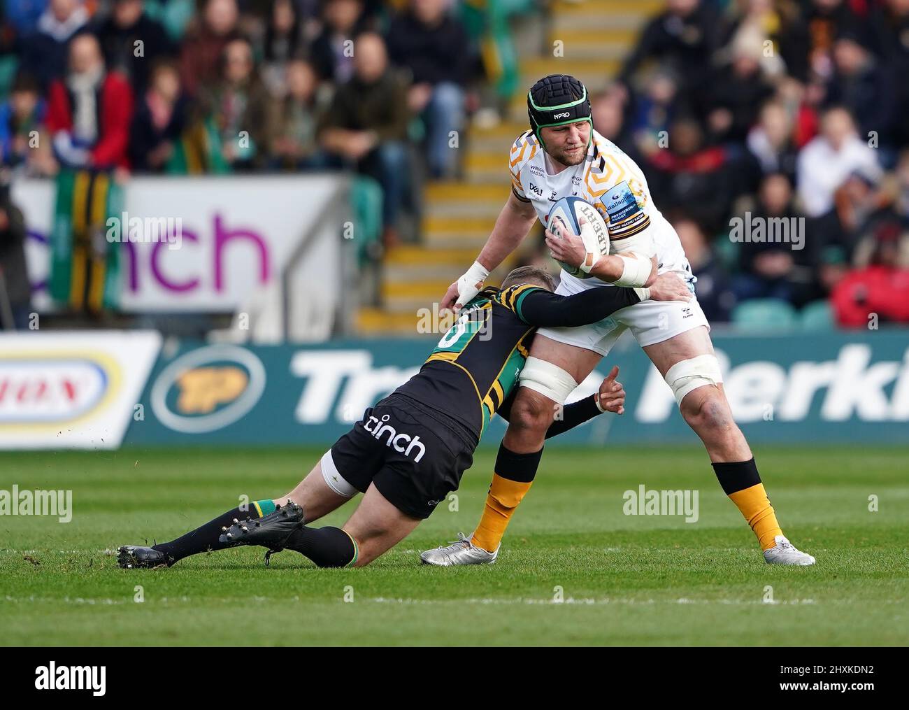 Tom willis wasps hi-res stock photography and images - Alamy