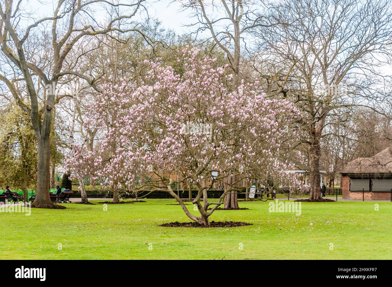 West ham park garden hi-res stock photography and images - Alamy