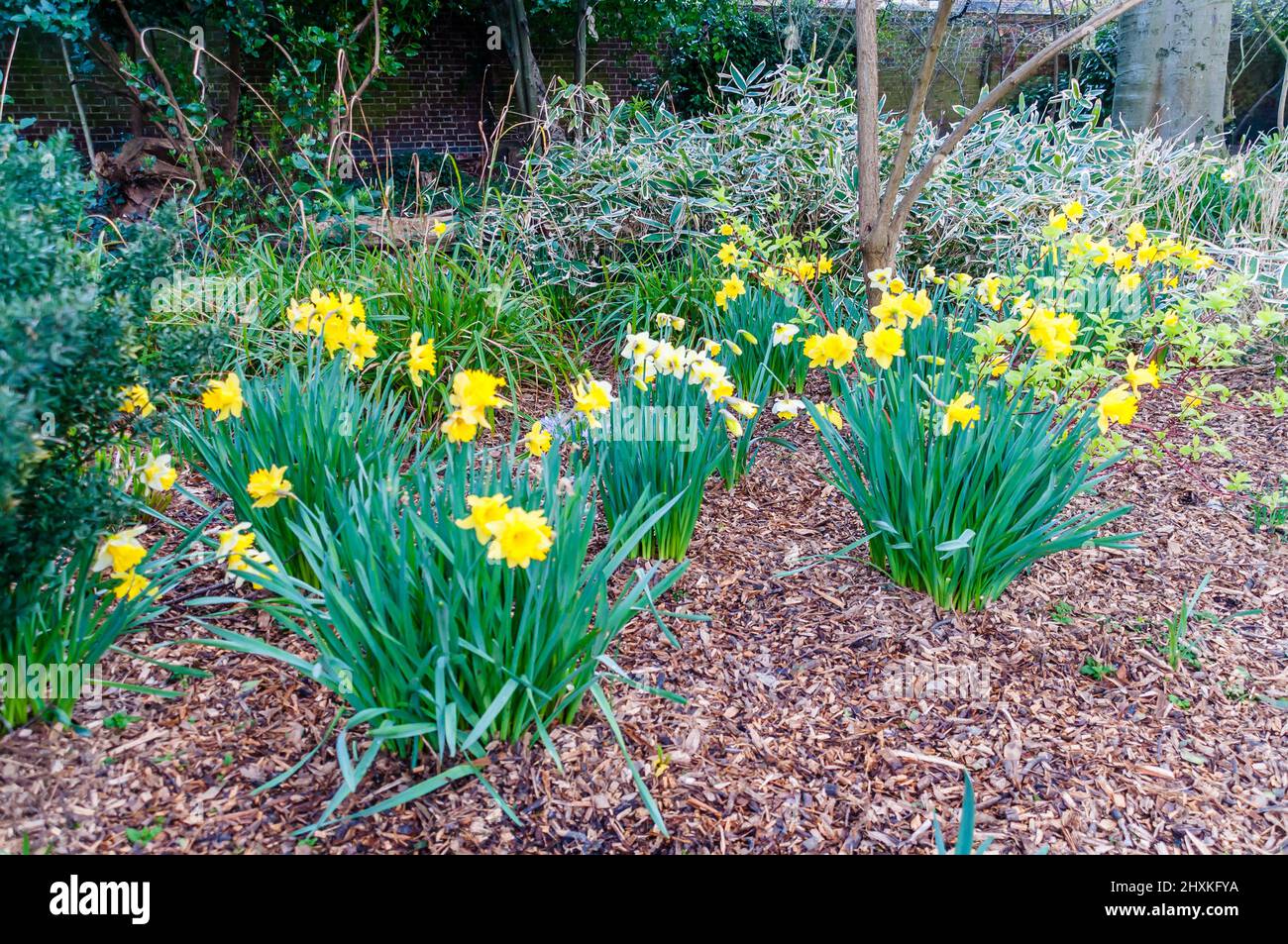 West Ham Park in Newham, East London Stock Photo - Alamy