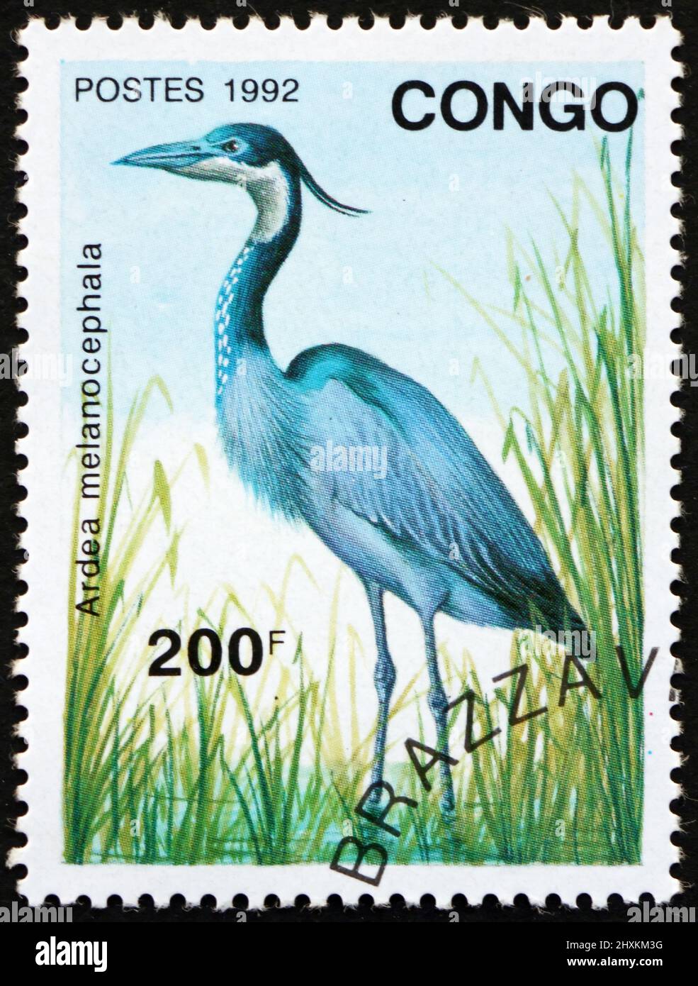 CONGO - CIRCA 1992: a stamp printed in Congo shows black-headed heron ...