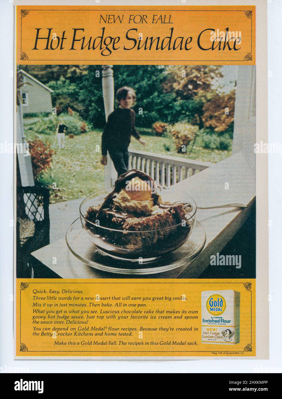 Vintage September 1973 "Ladies' Home Journal" Magazine Advert, USA ...