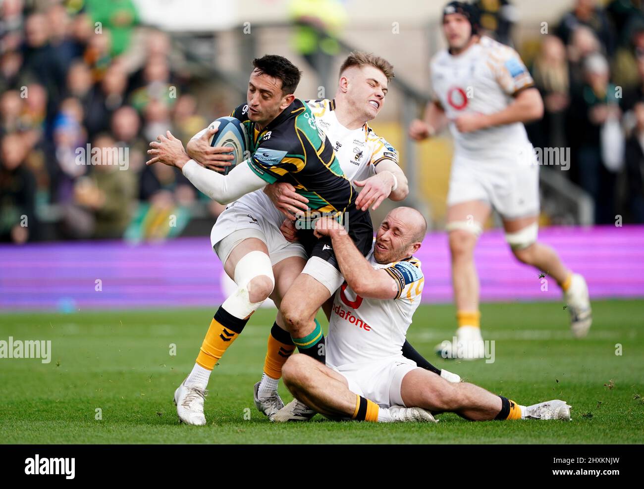 Dan robson wasps 2022 hi-res stock photography and images - Alamy