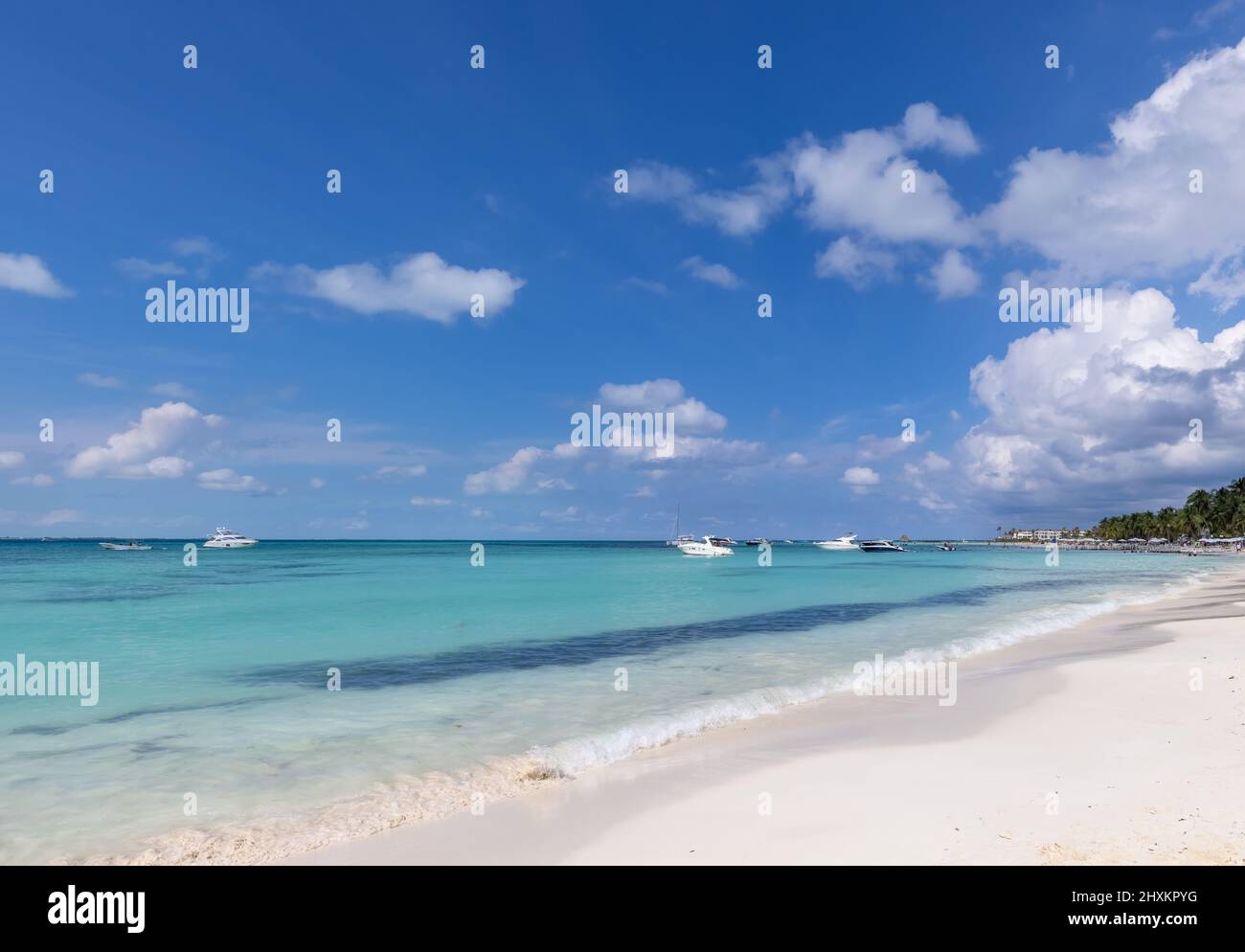 Mexico, Cancun, Isla Mujeres, Playa Norte beach with palms trees and ...