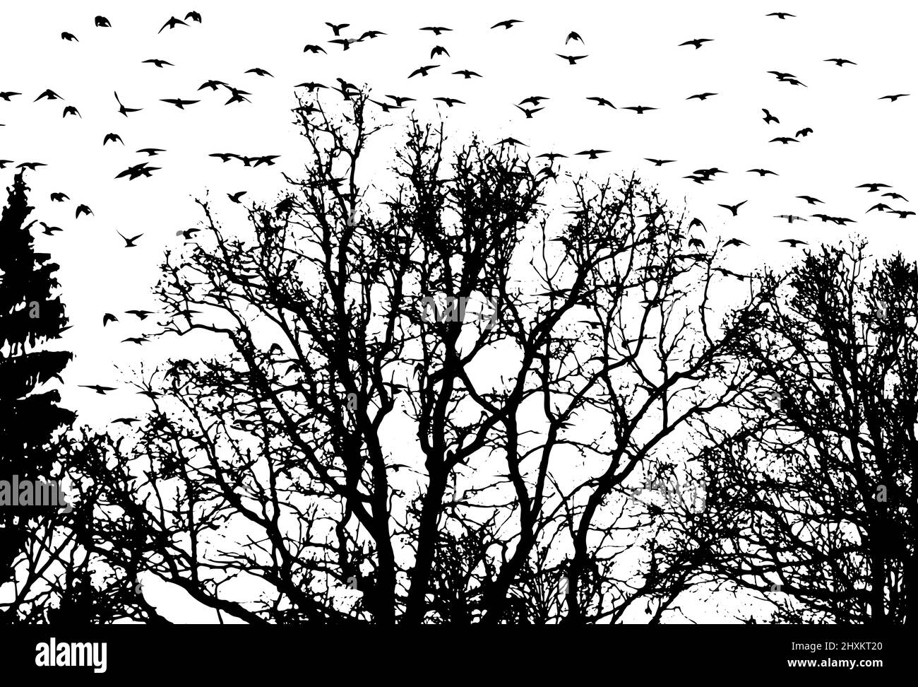 Flying birds and trees silhouette. Vector illustration Stock Vector ...