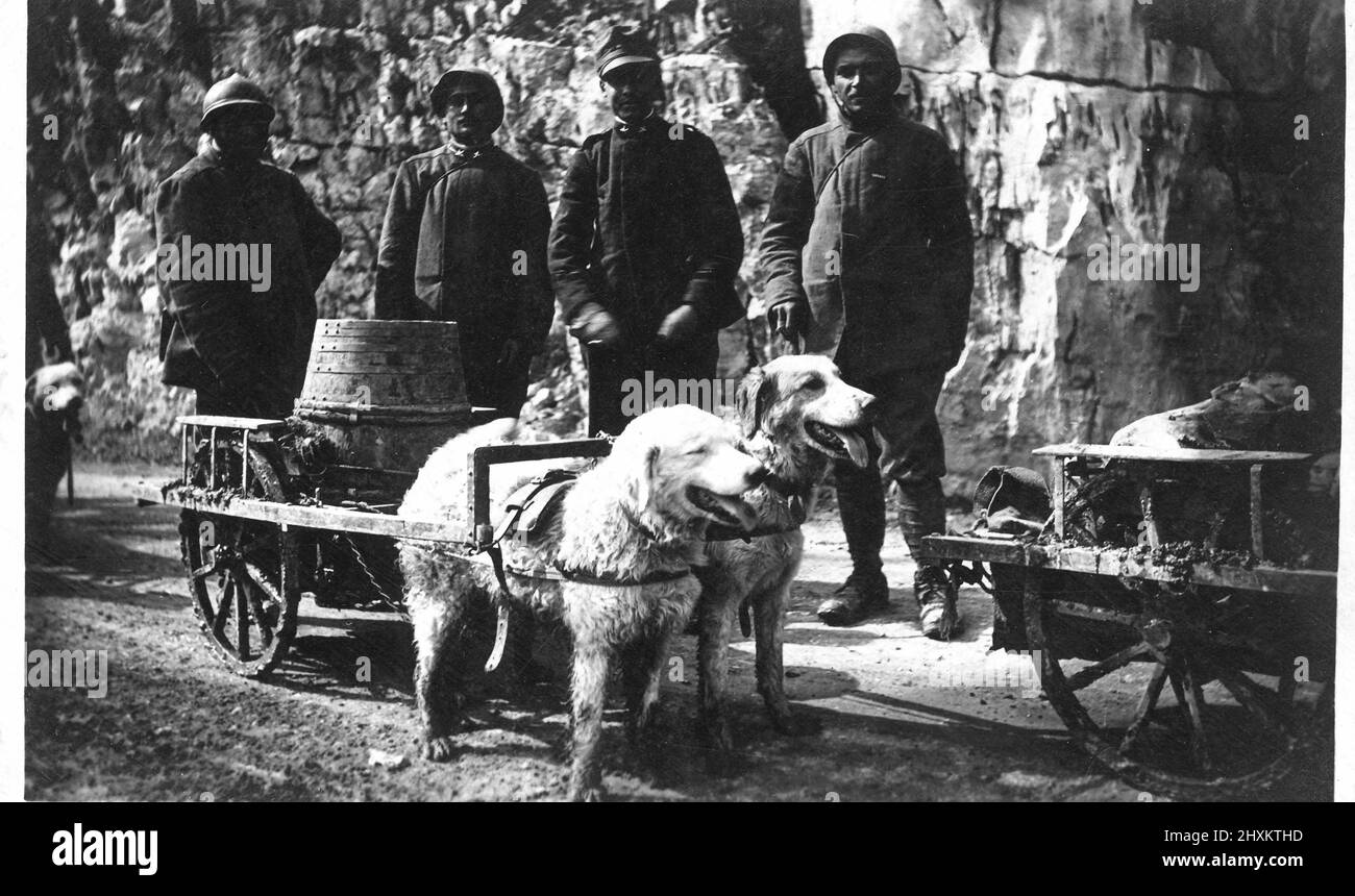 Prima Guerra Mondiale - Arriva il Rancio Stock Photo - Alamy