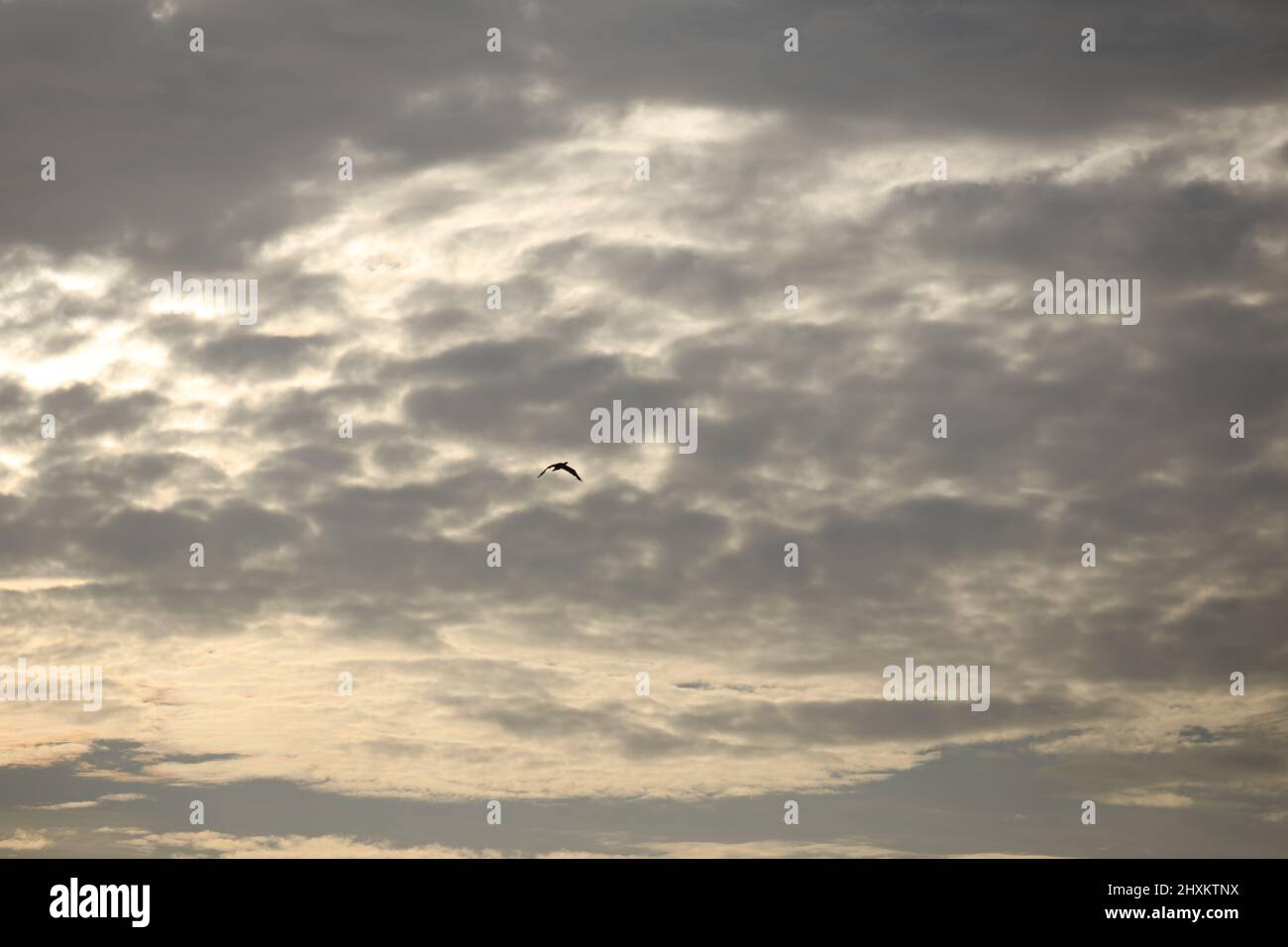 low waves on the shore of a beach High quality Stock Photo - Alamy