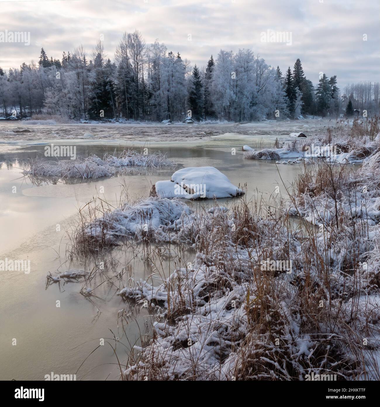 Freezing winter river Stock Photo - Alamy