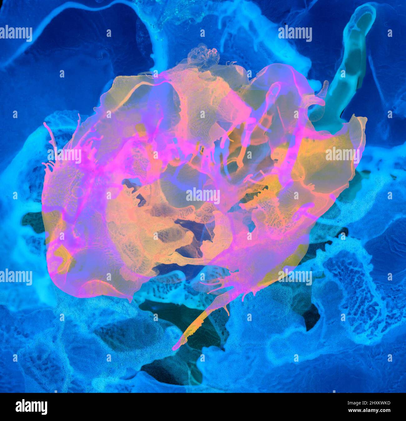 Hand painted creative background. Alcohol ink artistic overlay texture ...