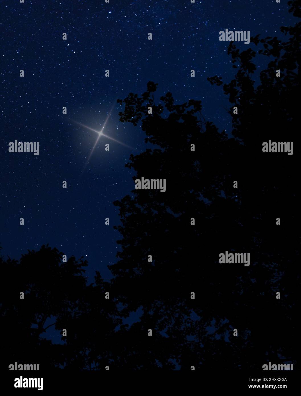 Christmas star rising above darkened trees in North Carolina Stock ...