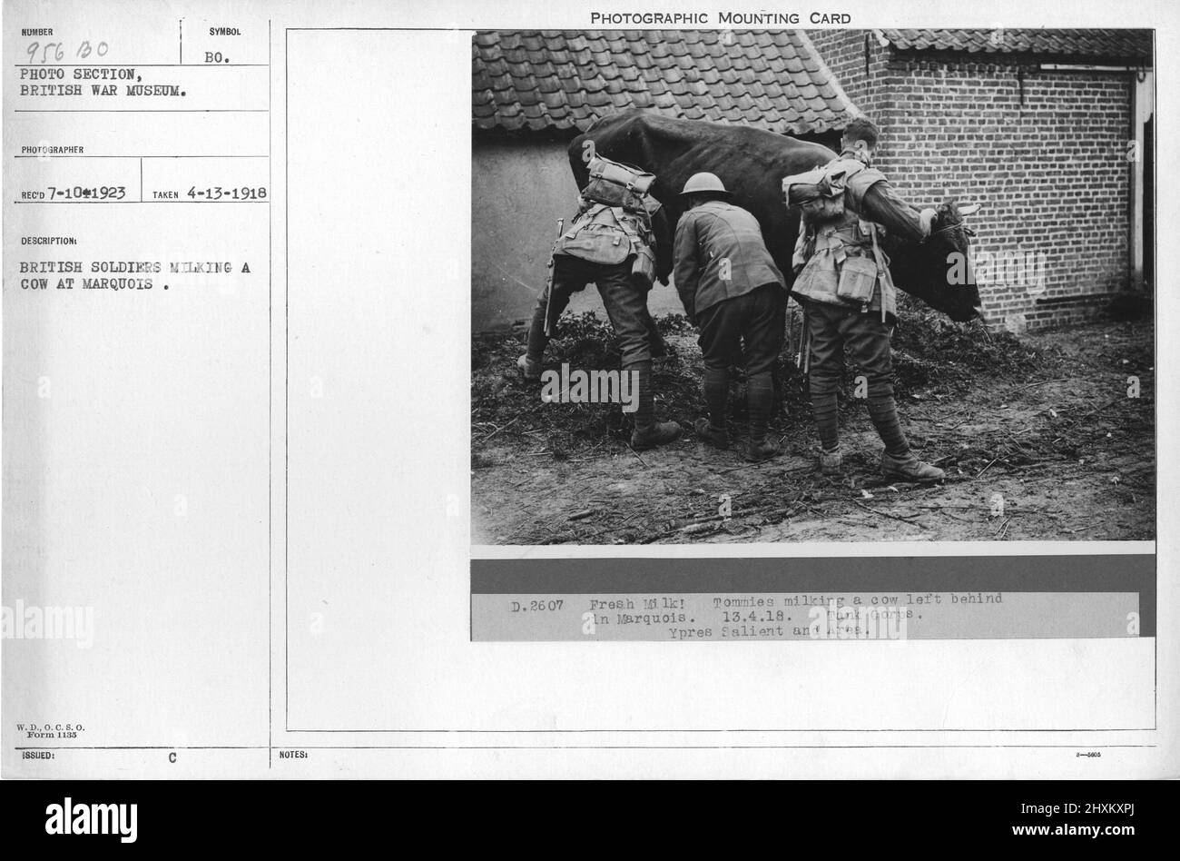 British soldiers milking a cow at Marquois. 4-13-1918. Collection of ...