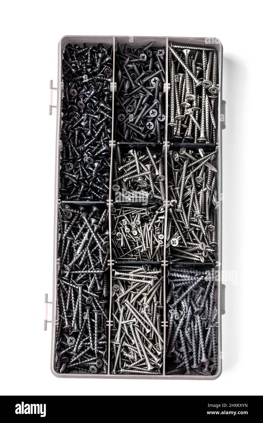 partitioned plastic organizer box full of various screws Stock Photo ...