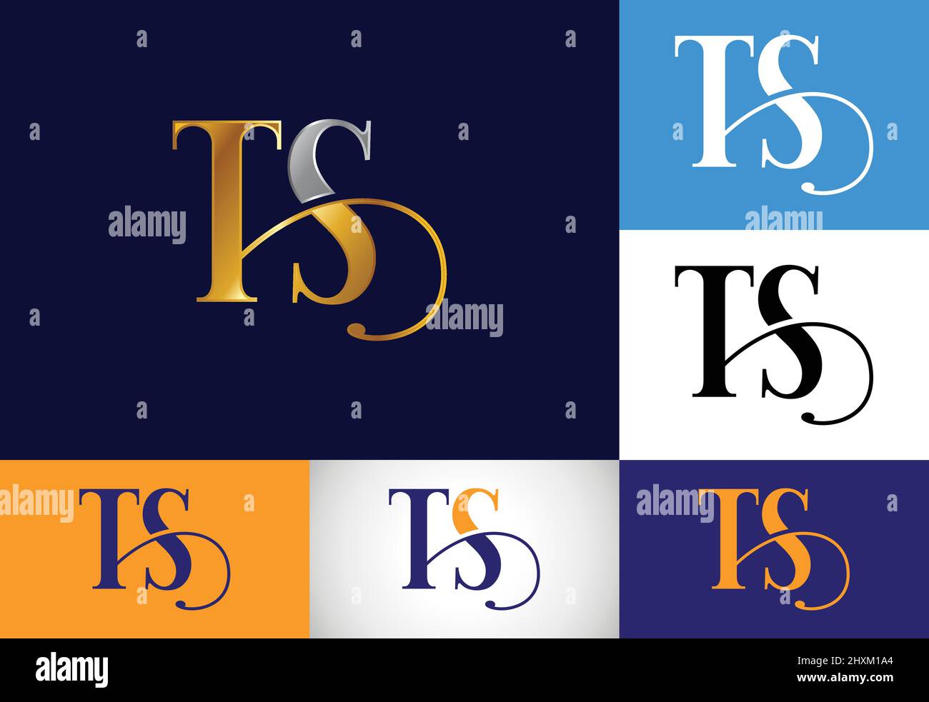 Initial Letter T S Logo Design Vector. Graphic Alphabet Symbol For ...