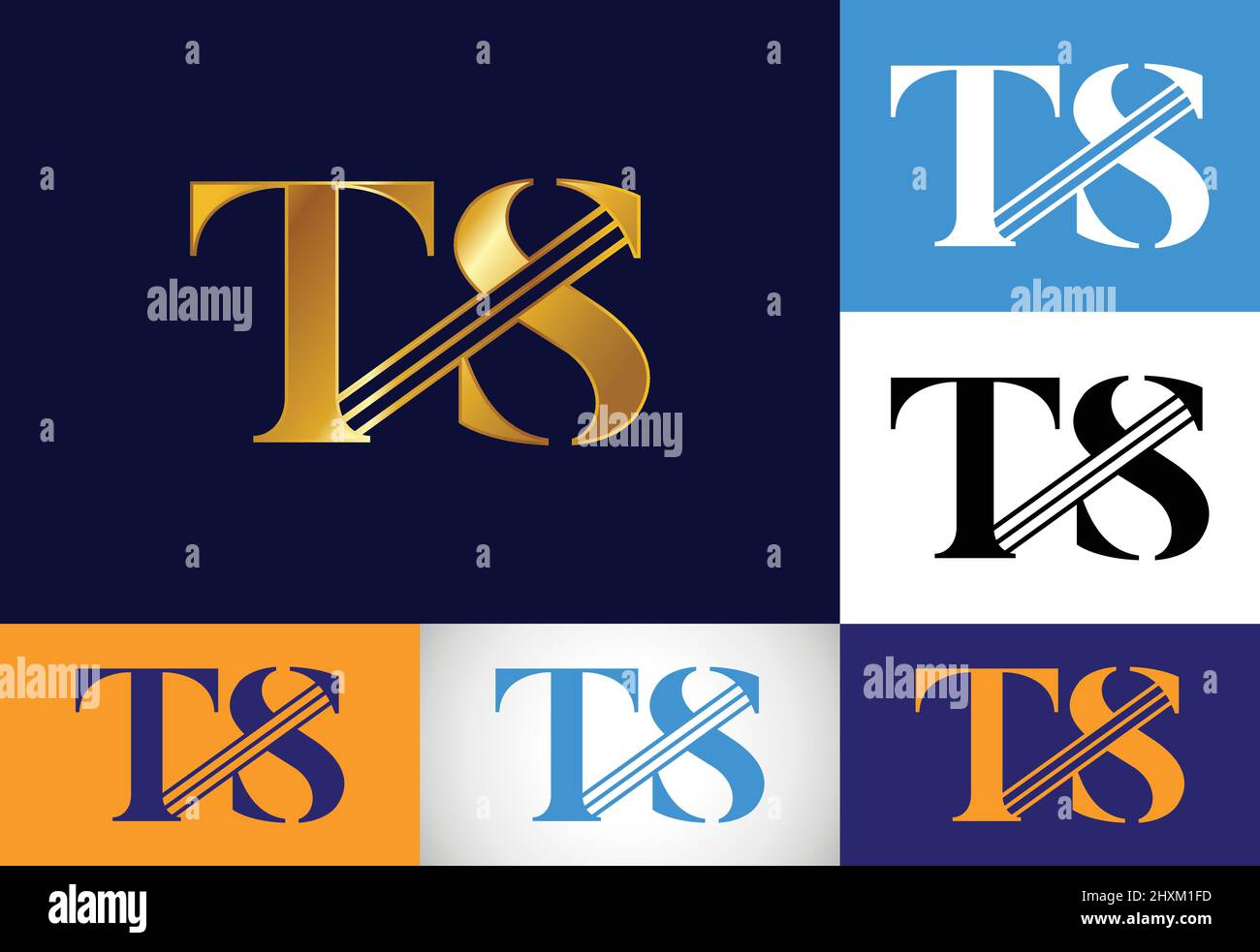 Initial Letter T S Logo Design Vector. Graphic Alphabet Symbol For ...