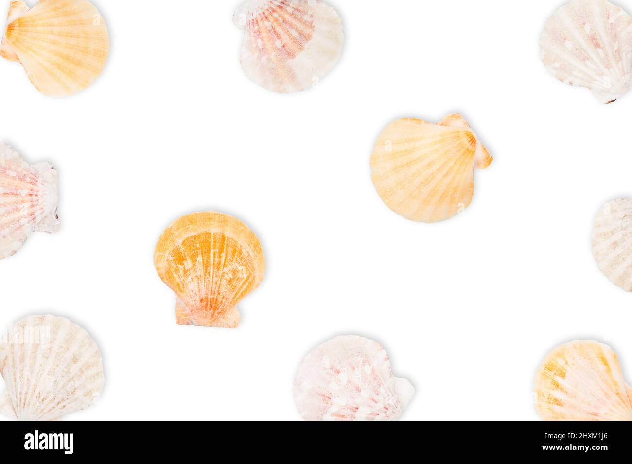 Sea pattern, top view, flat lay. Summer concept. Yellow sea shells ...