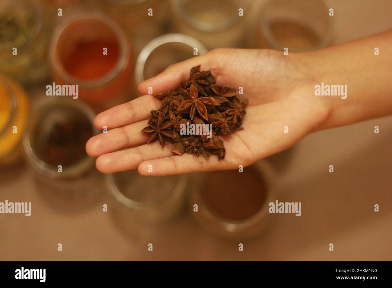 cardamom, cumin, star anise on beautiful woman hand Stock Photo - Alamy