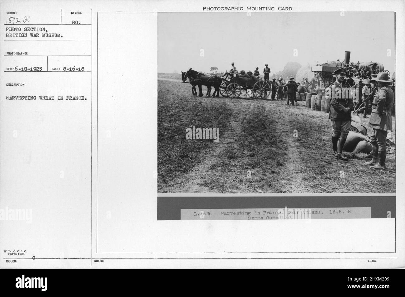 Harvesting wheat in France. Near Amiens. 8-16-1918. Collection of World ...