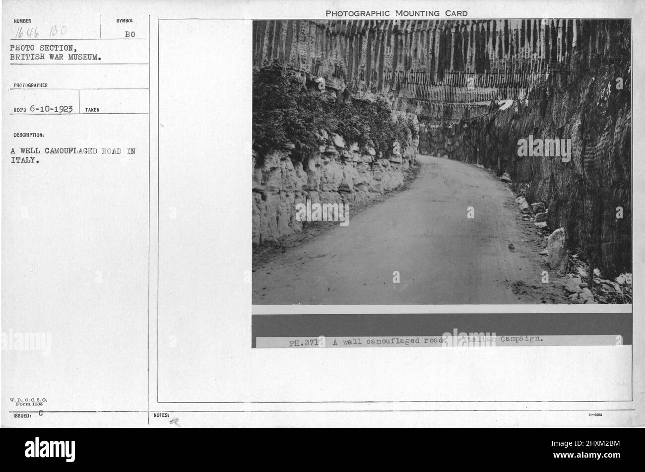 A well camouflaged road in Italy. Collection of World War I Photographs ...