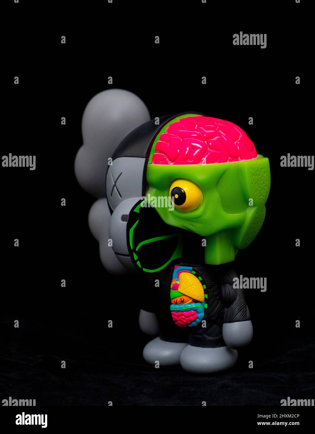 KAWS Baby Milo Dissected vinyl figure Stock Photo - Alamy