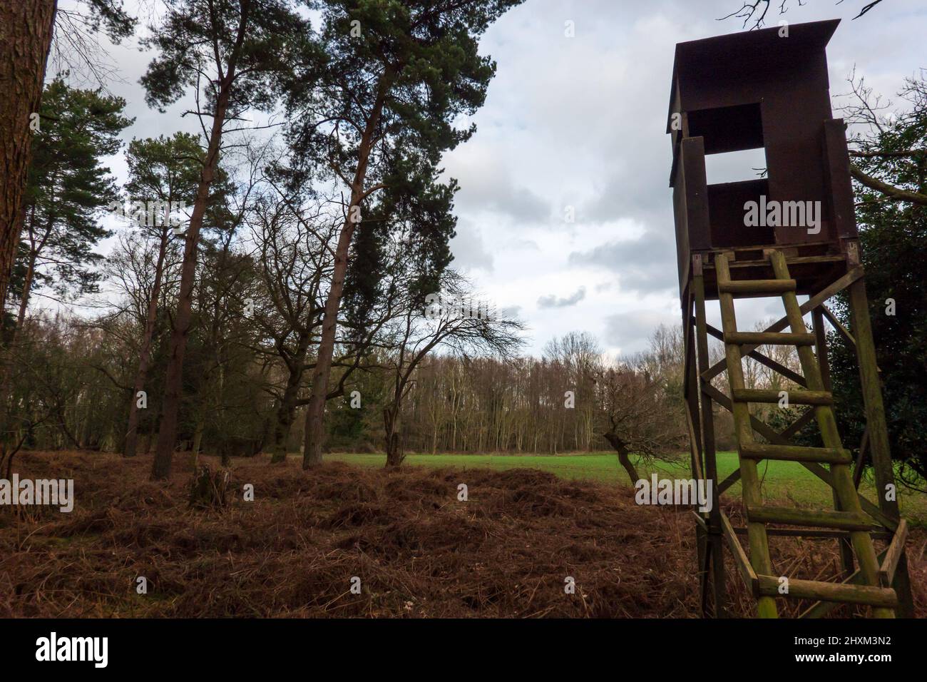 Shooting observation tower hunting hi-res stock photography and images ...
