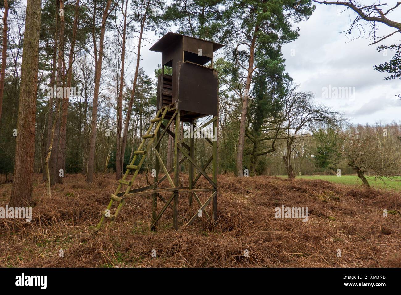 Shooting Tower, Swannington Norfolk Stock Photo - Alamy
