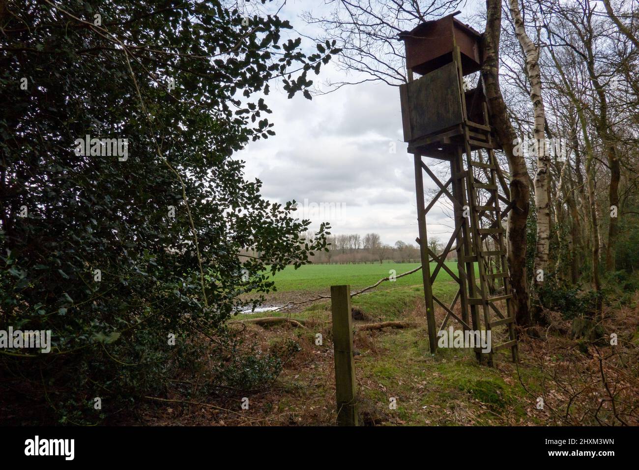 Shooting Tower, Swannington Norfolk Stock Photo - Alamy
