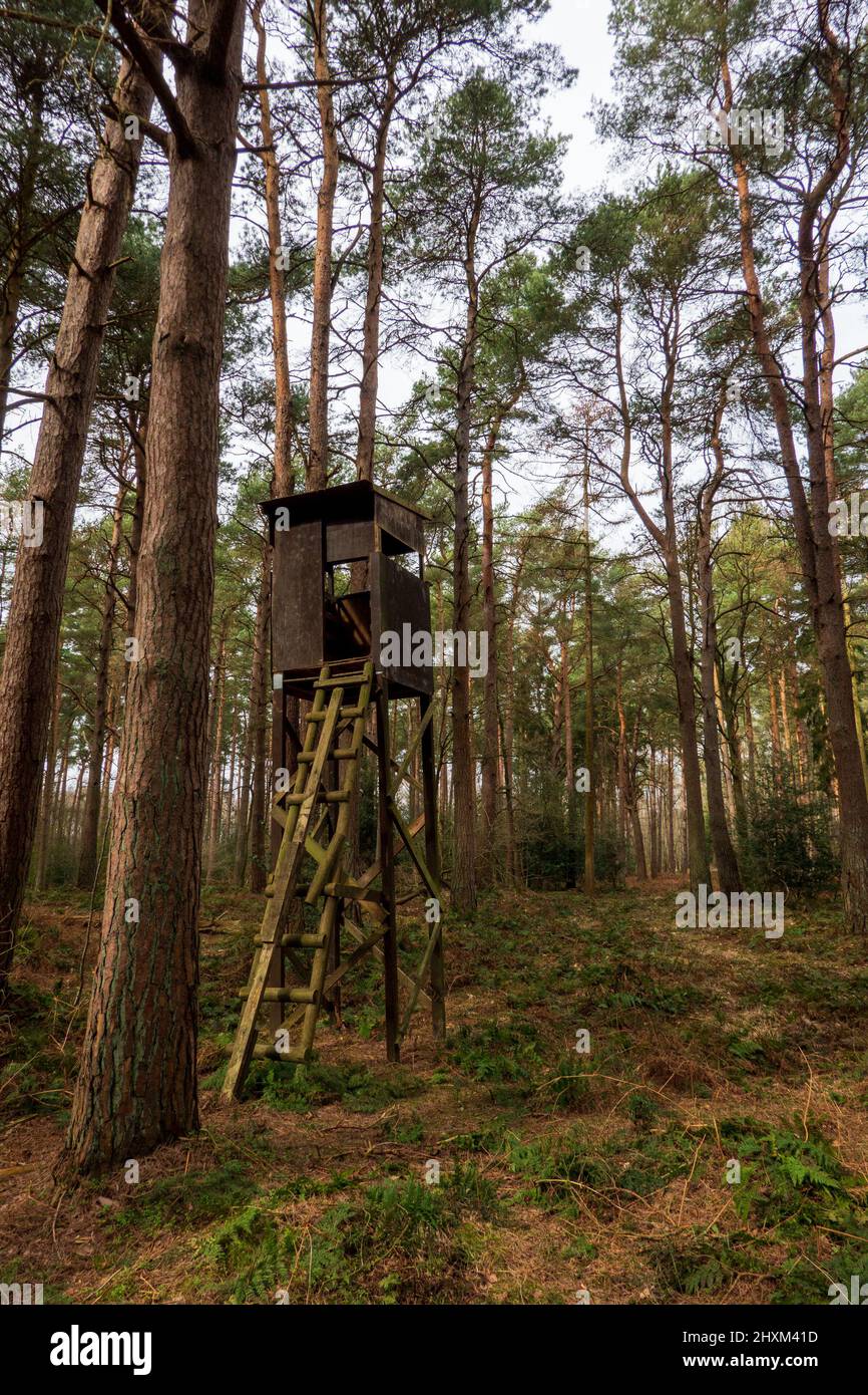 Shooting Tower, Swannington Norfolk Stock Photo - Alamy