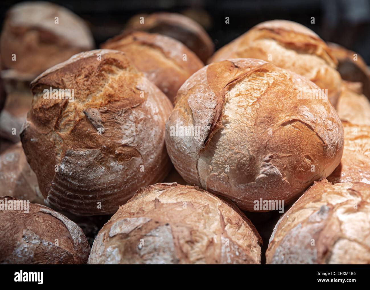 Large loaves of bread on the counter of a bakery Stock Photo - Alamy