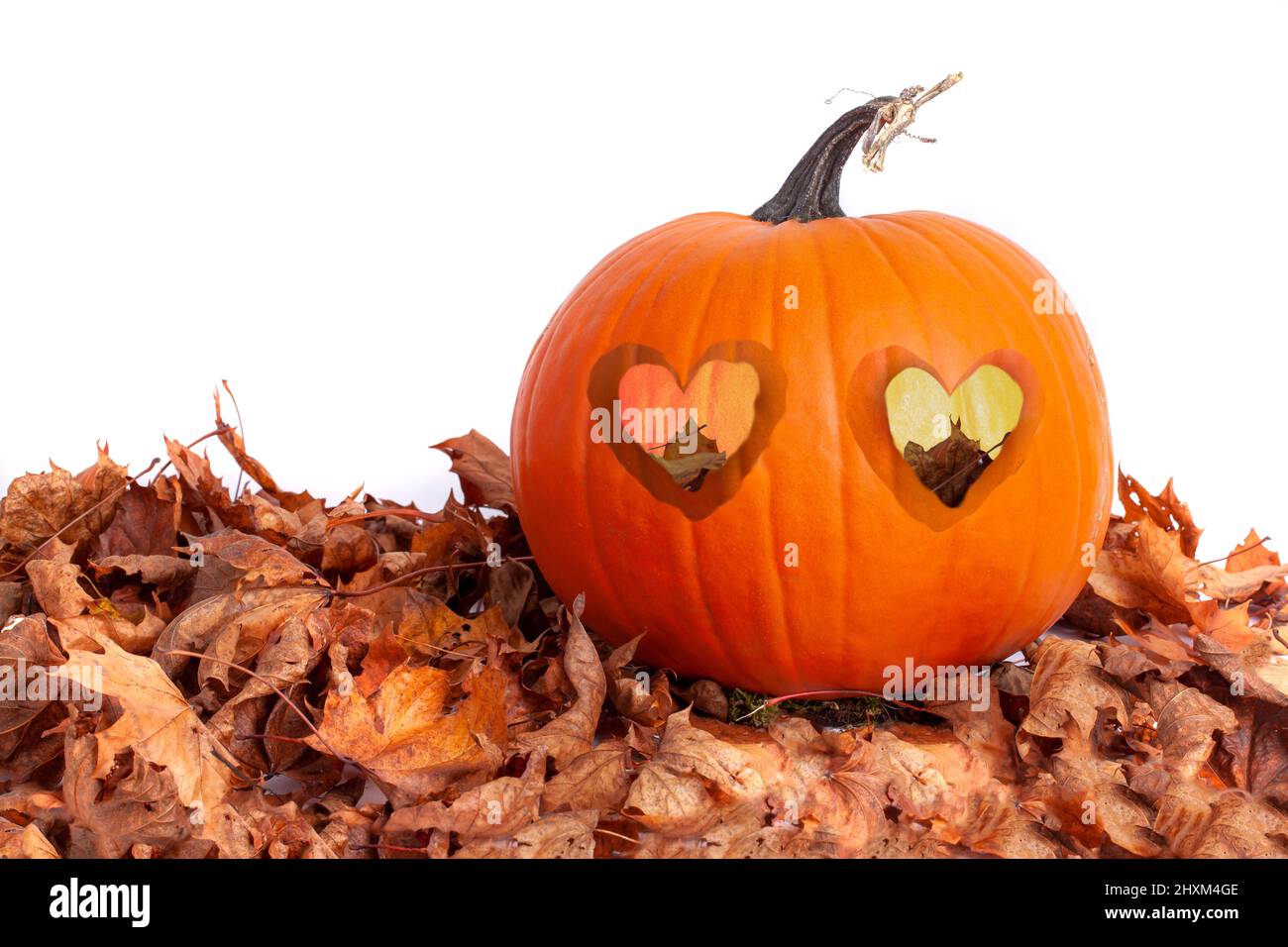 Pumpkin with two cutout love heart eyes on a bed of autumn leaves with ...