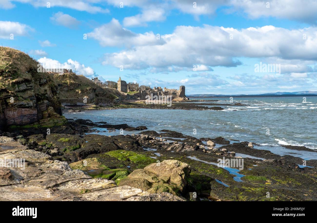 Ruins of St Andrew's Castle in St Andrew's, Fife, Scotland, UK Stock ...