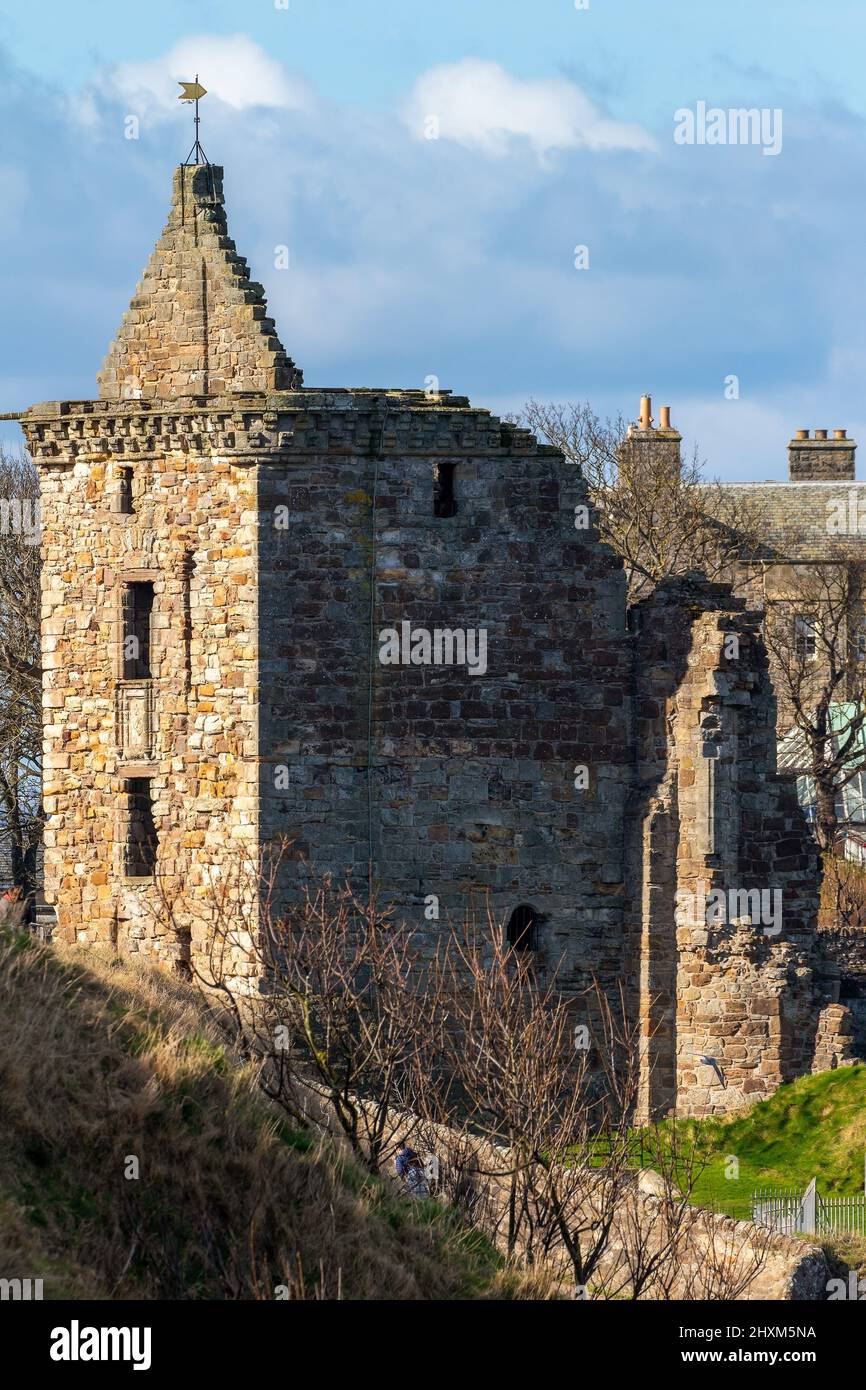 Ruins of St Andrew's Castle in St Andrew's, Fife, Scotland, UK Stock ...