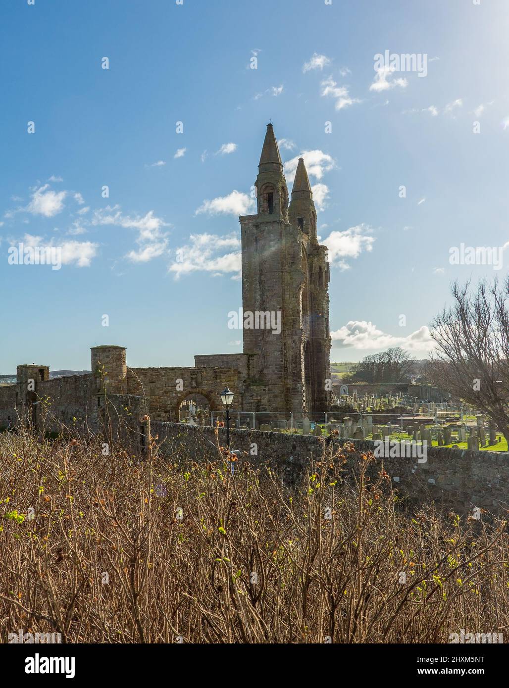 Ruins of St Andrew's Cathedral in St Andrew's, Fife, Scotland, UK Stock ...