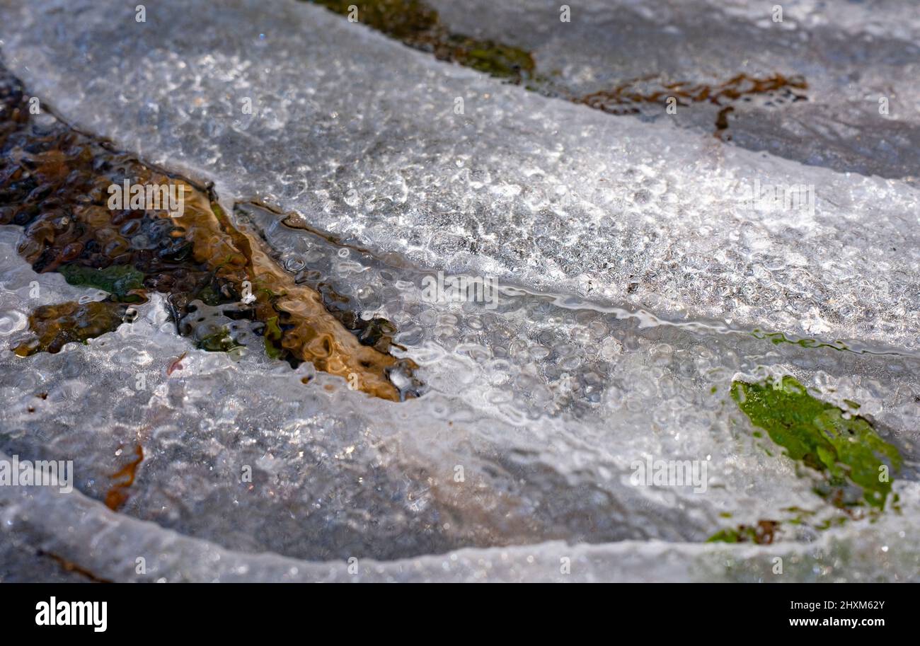 Abstract forms of ice surface in Kemeri National Park, Latvia Stock ...